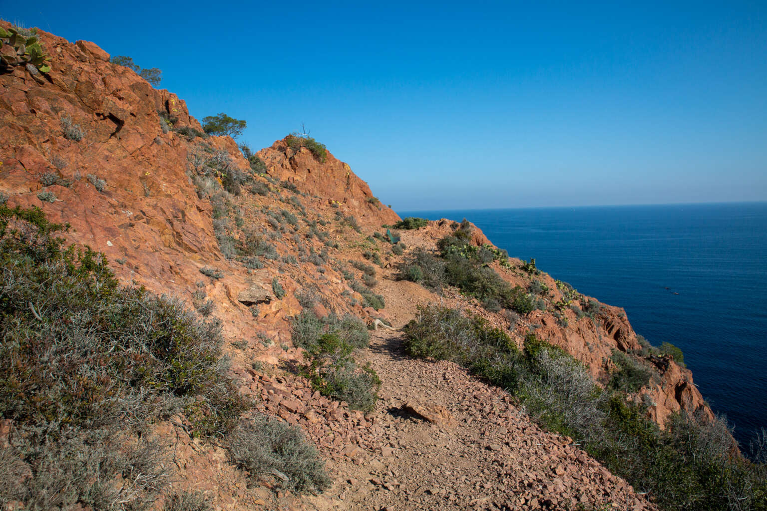 Une randonnée incontournable sur le Cap Dramont - Balades naturalistes