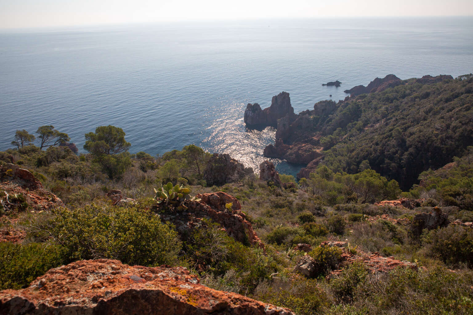 Une randonnée incontournable sur le Cap Dramont - Balades naturalistes