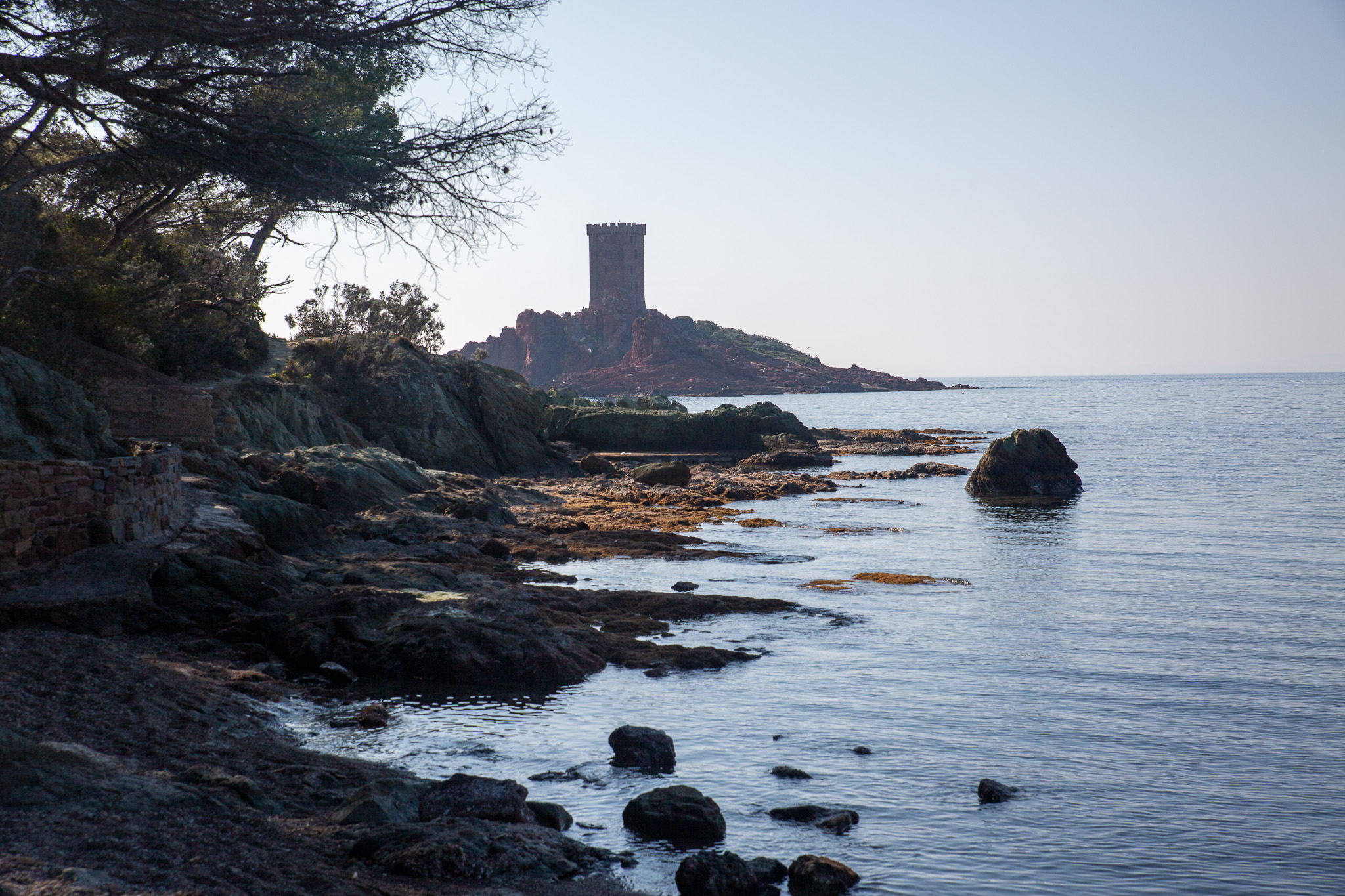 Une randonnée incontournable sur le Cap Dramont - Balades naturalistes