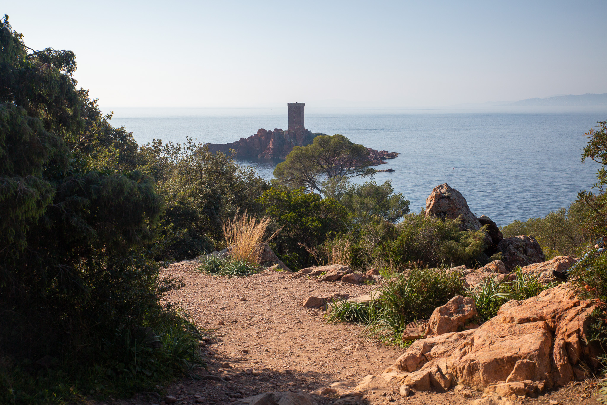 Une randonnée incontournable sur le Cap Dramont - Balades naturalistes