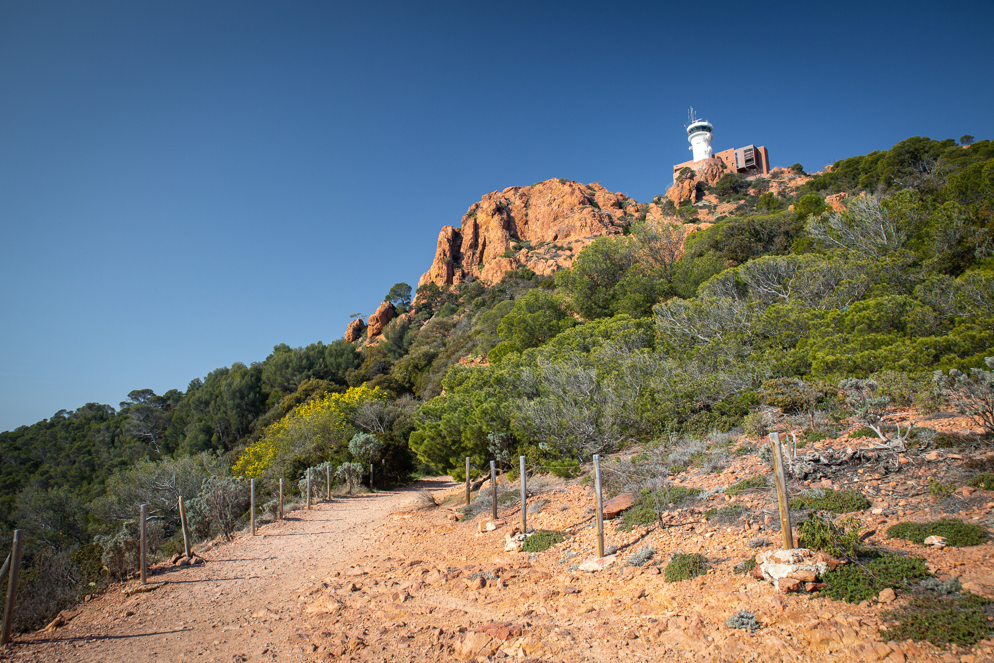 Une randonnée incontournable sur le Cap Dramont - Balades naturalistes