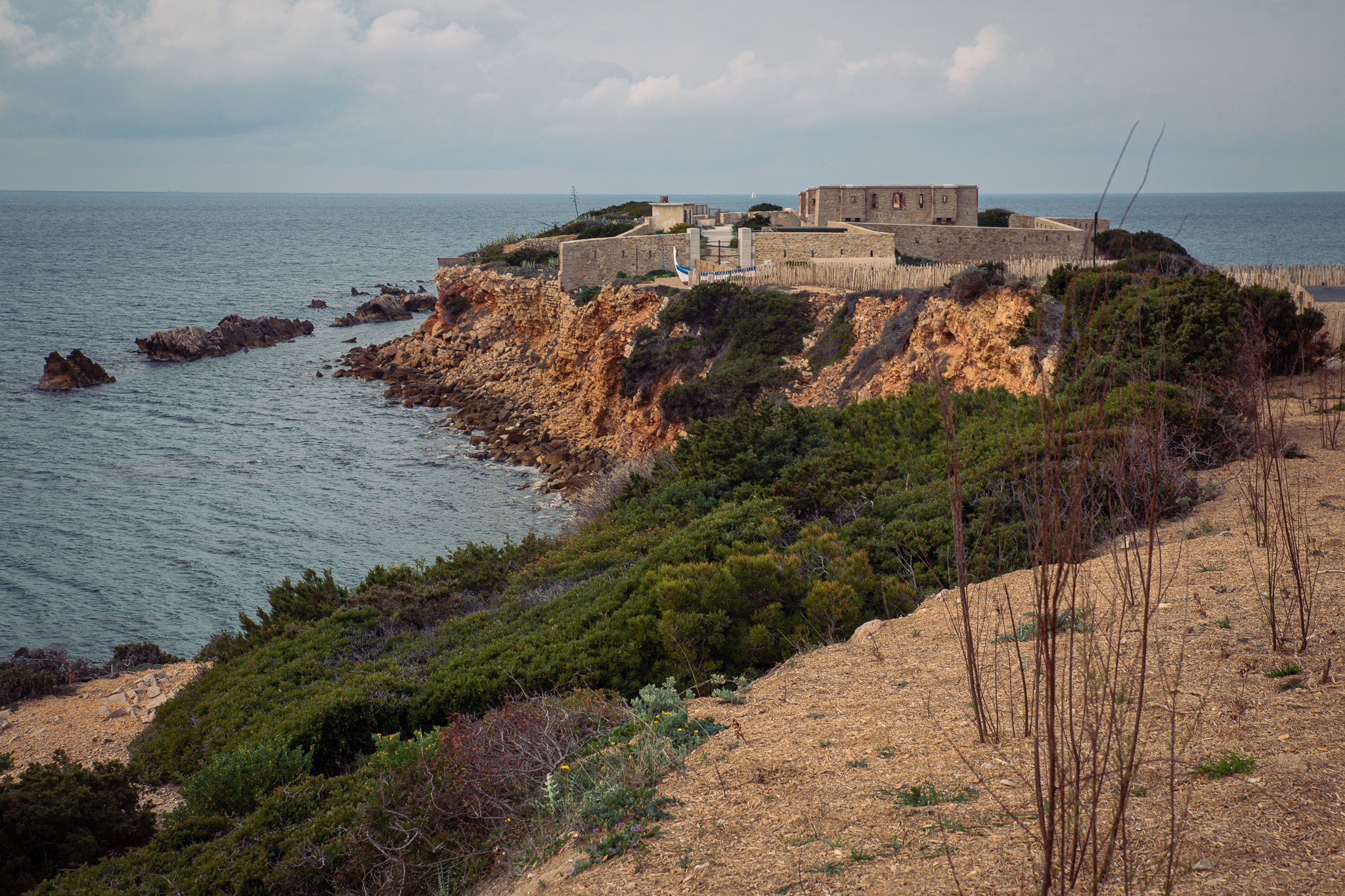 Un exemple de revégétalisation : la pointe de la Cride
