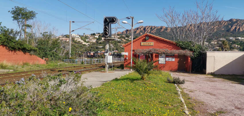 La Corniche d’Or : Un road trip dans l’Estérel - Balades naturalistes