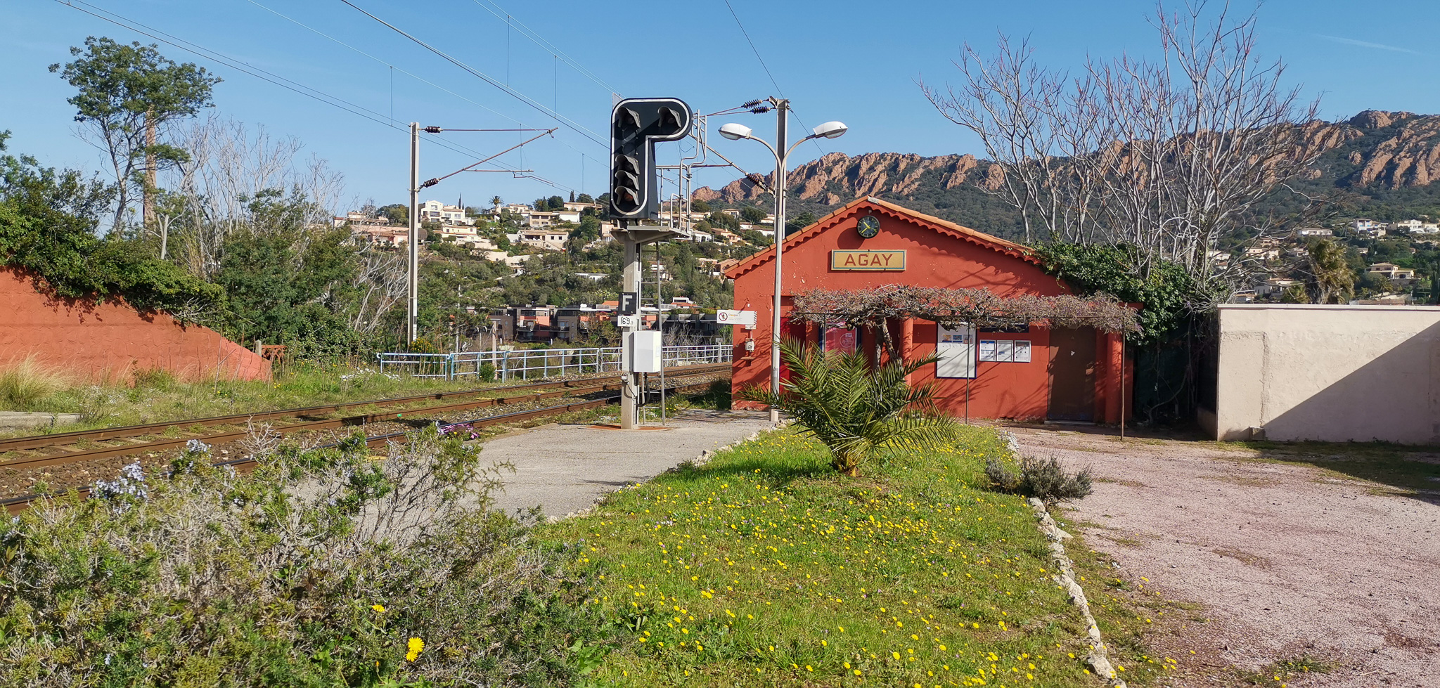 La Corniche d’Or : Un road trip dans l’Estérel - Balades naturalistes