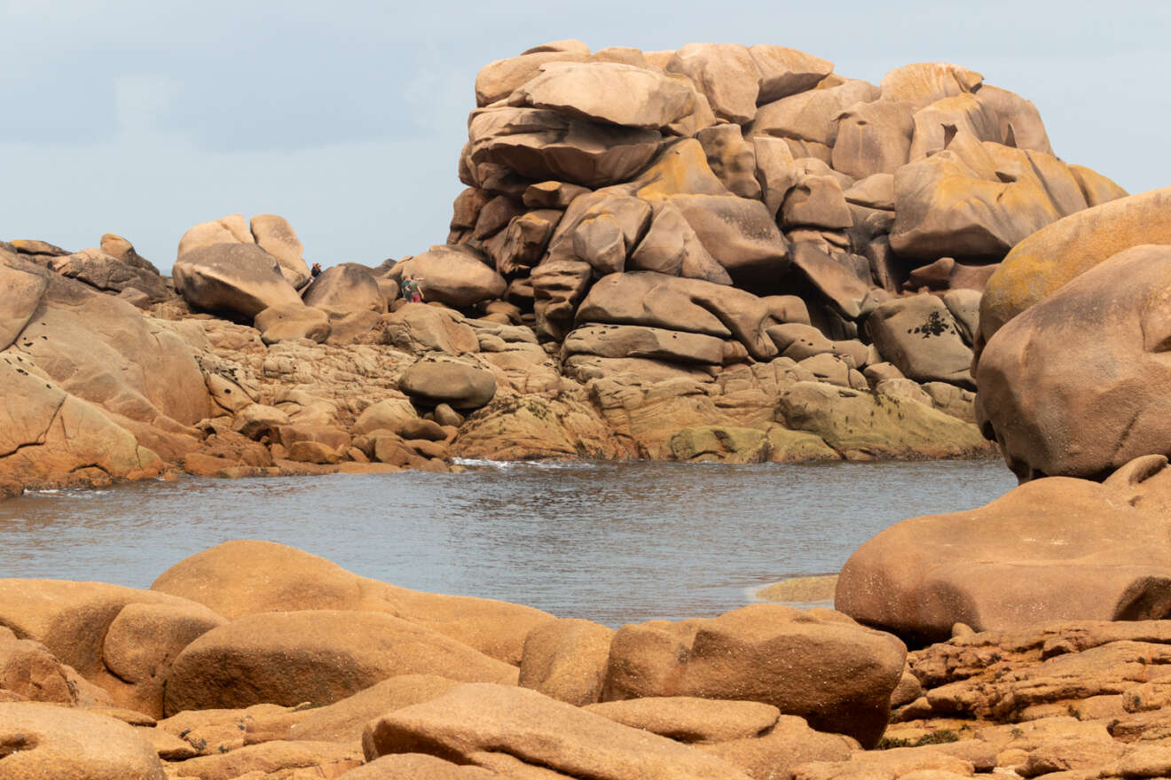 Balades le long de la côte de granit rose - Balades naturalistes